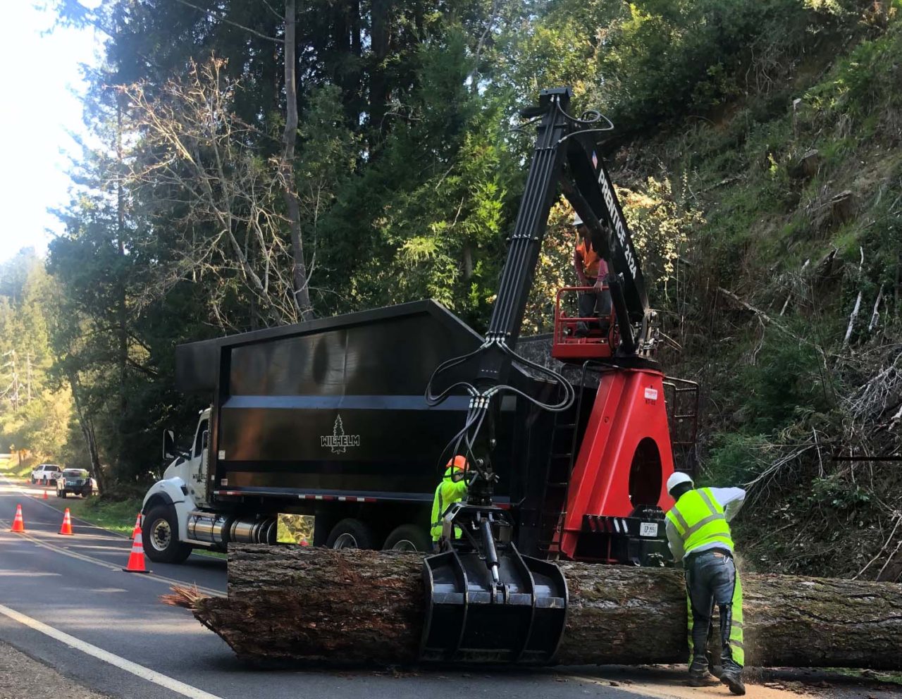 Debris Removal Services for Utility and Government Agencies